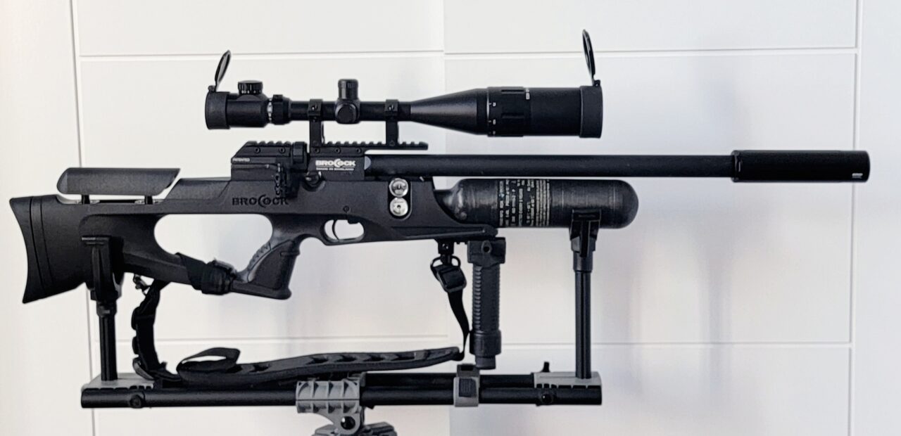 Our Services - Down Goes Iguana